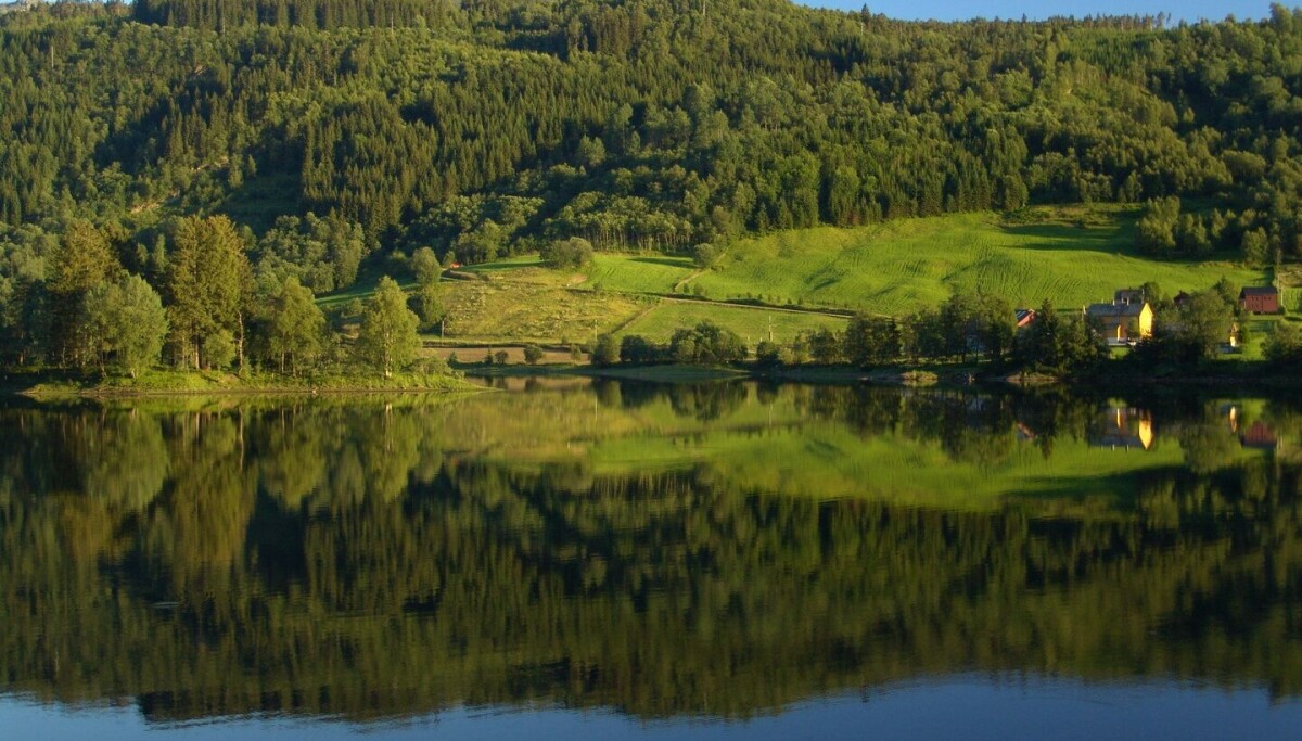 Hvor mye av Norges land skal staten eie? Hvor mye av Norges land skal staten eie?